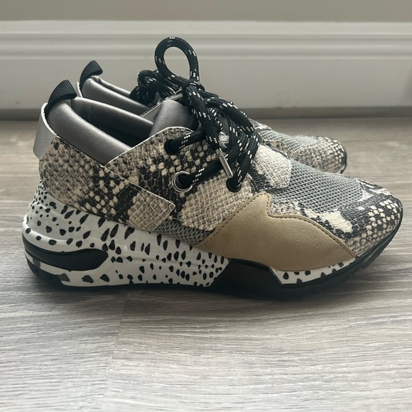 Steve Madden | Shoes | Steve Madden Cliff Animal Sneakers Womans Size 6 ...